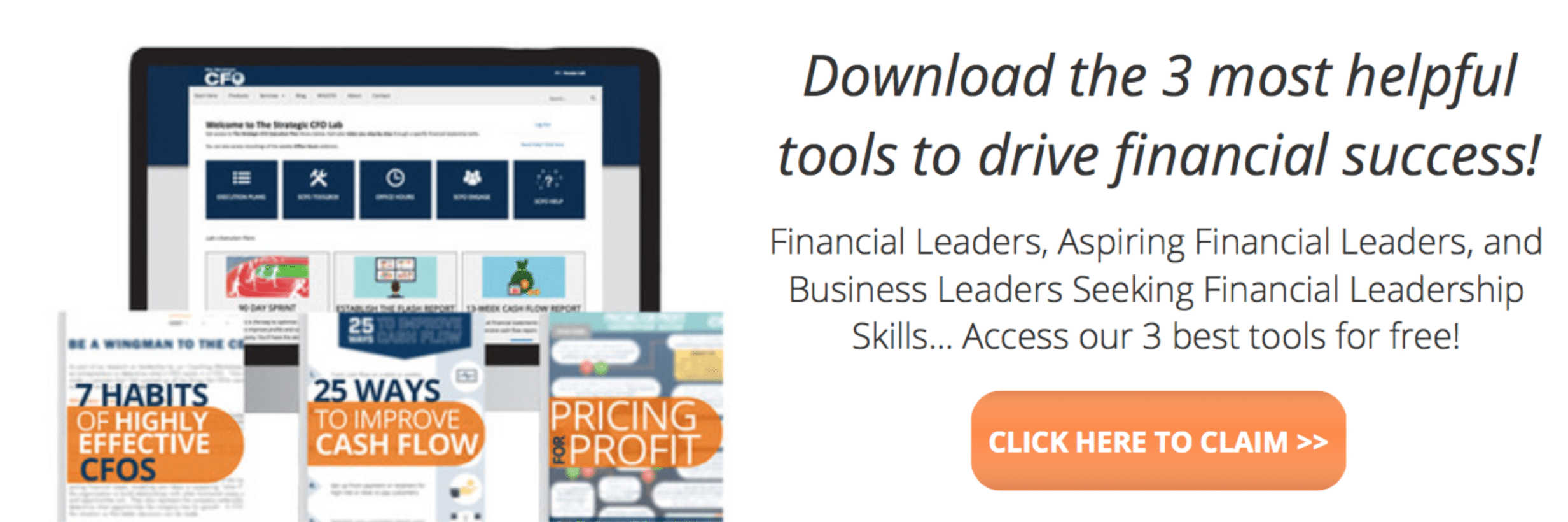 CFO Coaching | CFO Consulting | CFO Retained Search | The Strategic CFO