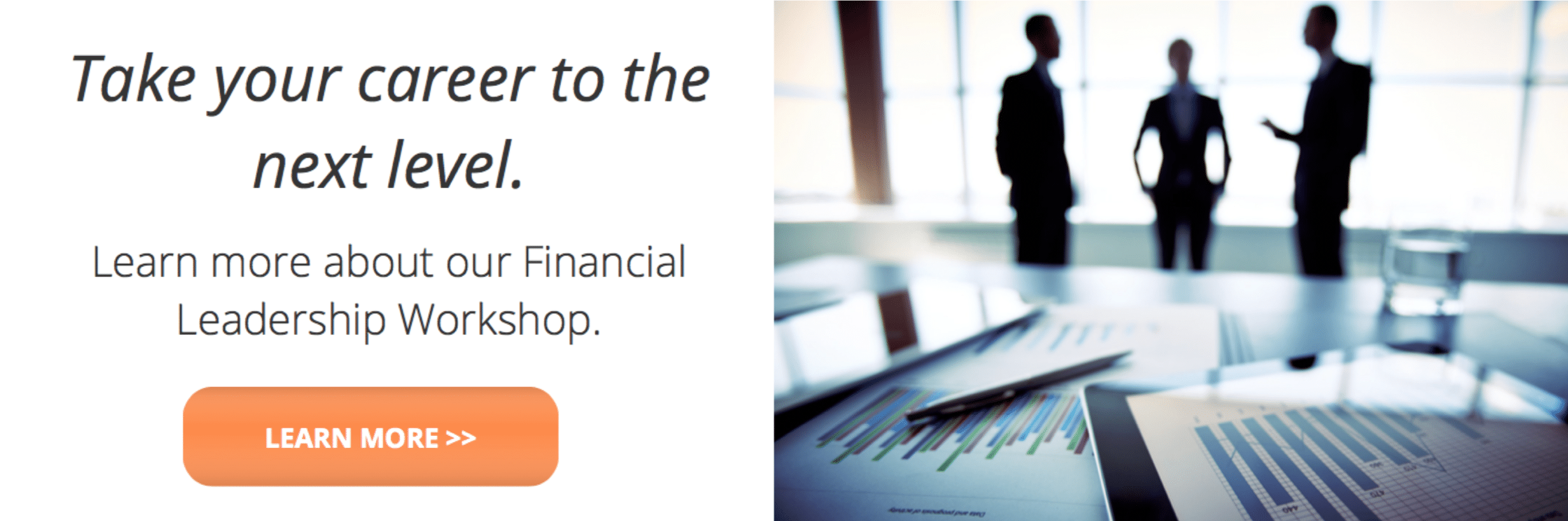 CFO Coaching | CFO Consulting | CFO Retained Search | The Strategic CFO