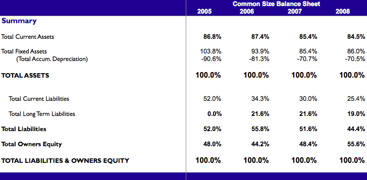 Common Size Financial Statements Preparing Common Sized FSThe Strategic CFO