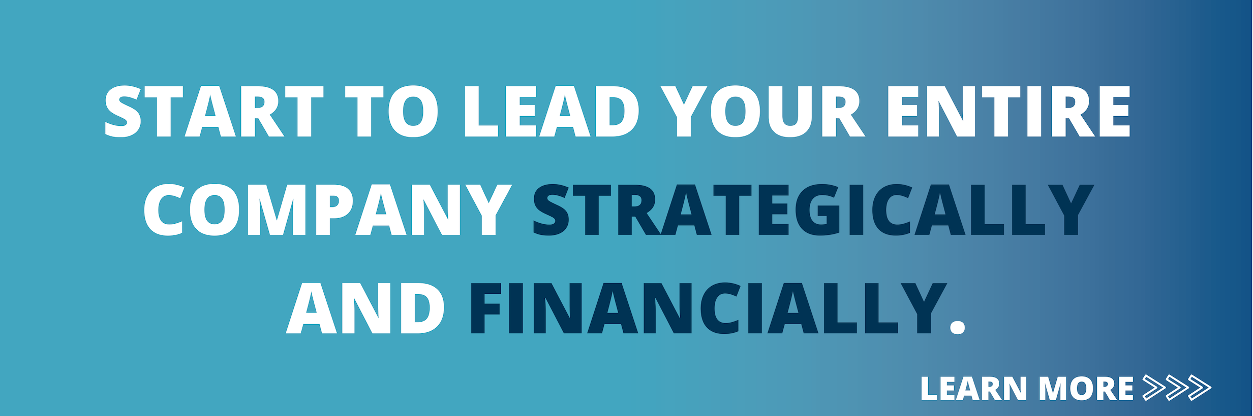 CFO Coaching | CFO Consulting | CFO Retained Search | The Strategic CFO