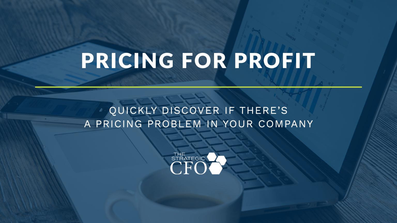 Pricing for Profit Inspection Guide - The Strategic CFO®